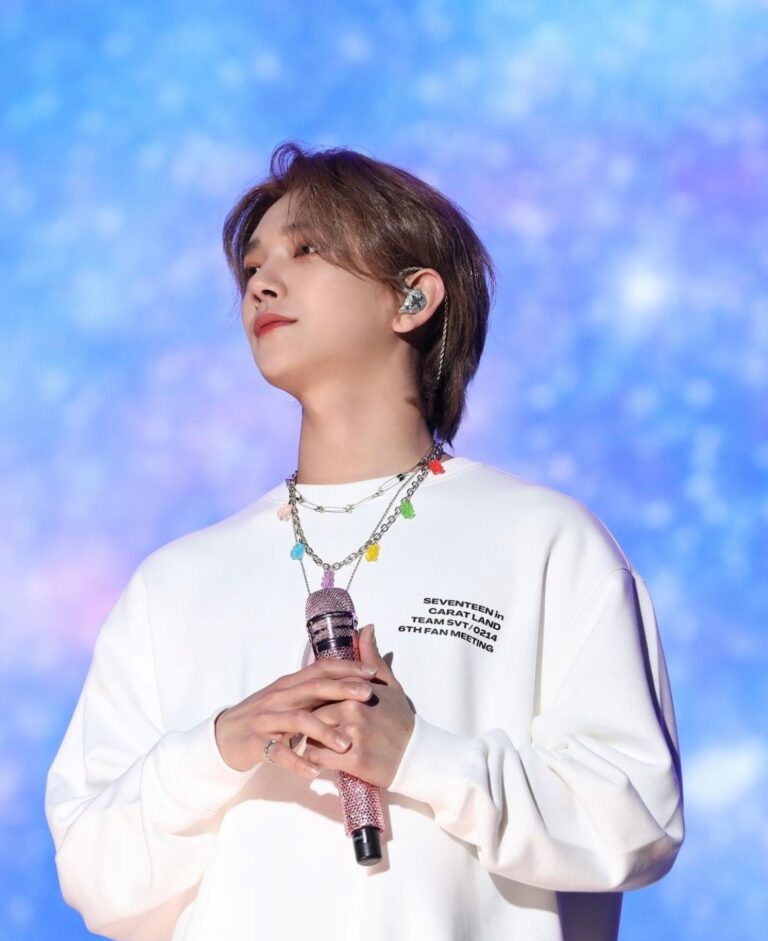 Seventeen Joshua Profile | KPTN